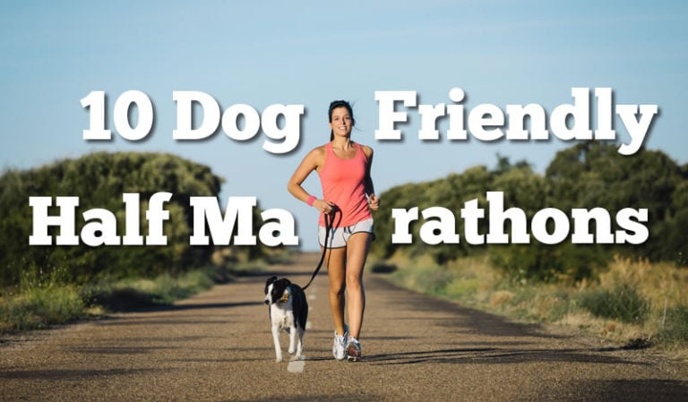 10 Dog-Friendly Half Marathons You Can Run - HalfMarathons.Net