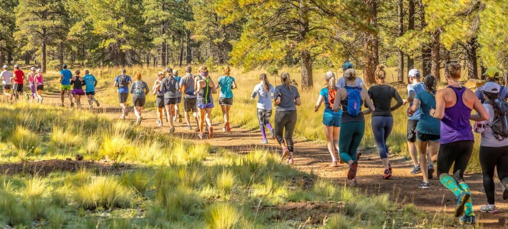 Arizona Half Marathon 10K & 5K - Half Marathon Guide - Mar 2, 2025