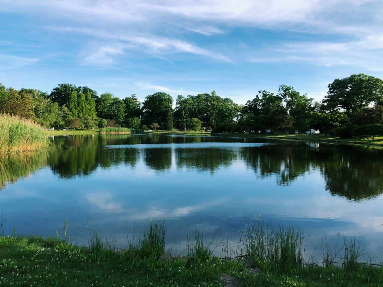 Connecticut Half Marathon Calendar | 2026 + 2027