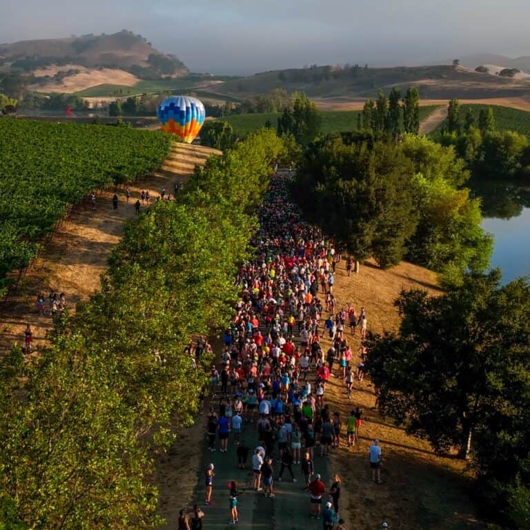 Santa Barbara Wine Country Half Marathon - May 10, 2025