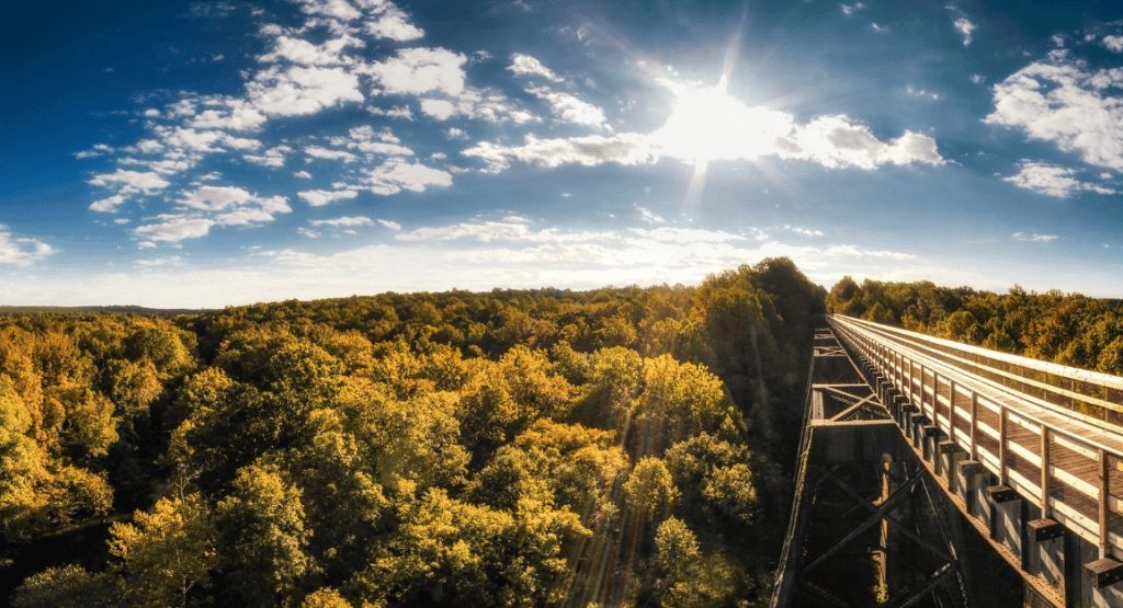 Freight Train 100k 50k & Half Marathon - Half Marathon Guide