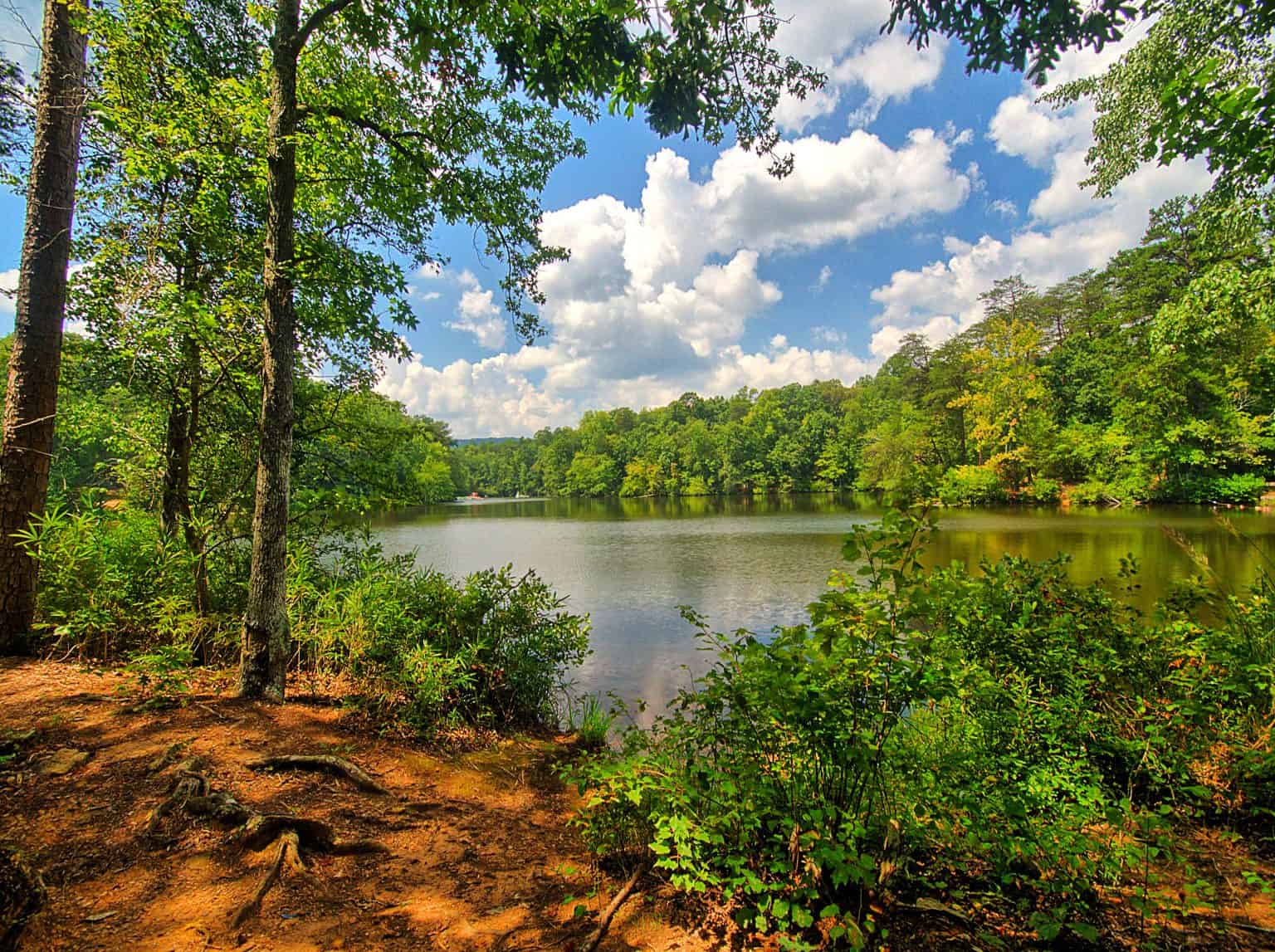 Battle of Terrain Half Marathon Series - Half Marathon Guide