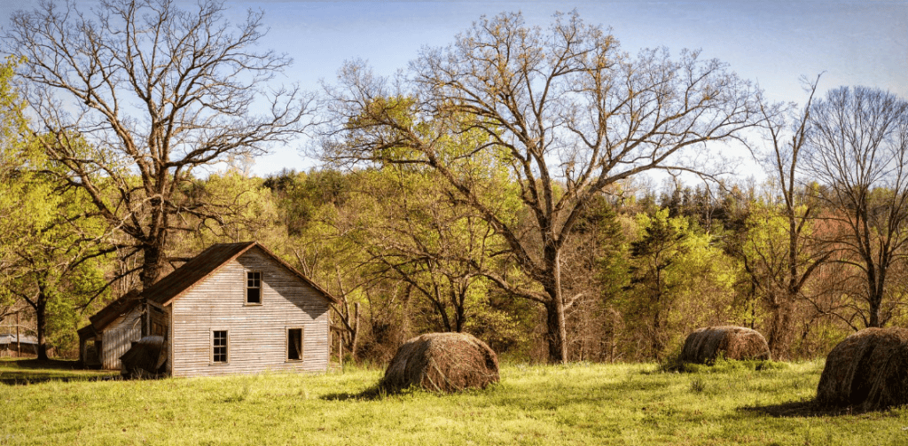 Charity Chase Half Marathon & 5k - Half Marathon Guide