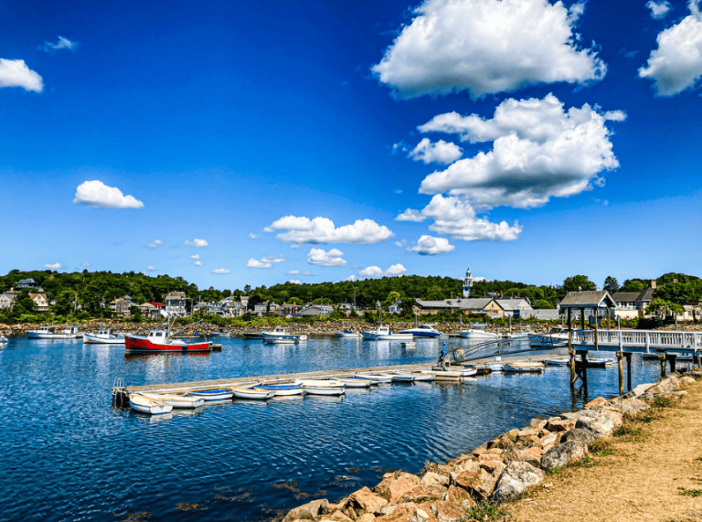 Half Marathon-by-the-Sea Half Marathon - Half Marathon Guide - Sep 13, 2026