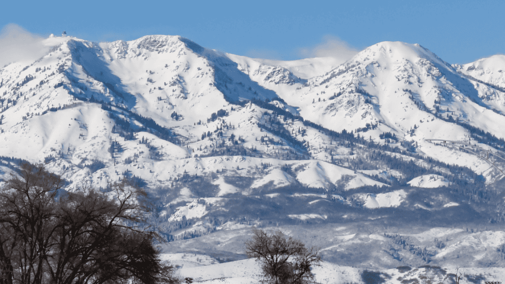 Morgan Valley Marathon, Half Marathon & 5K - Half Marathon Guide