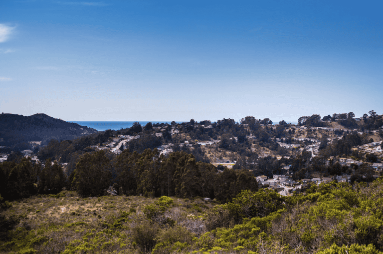 Pacifica Summit Run 30k Half Marathon & 10k - Half Marathon Guide