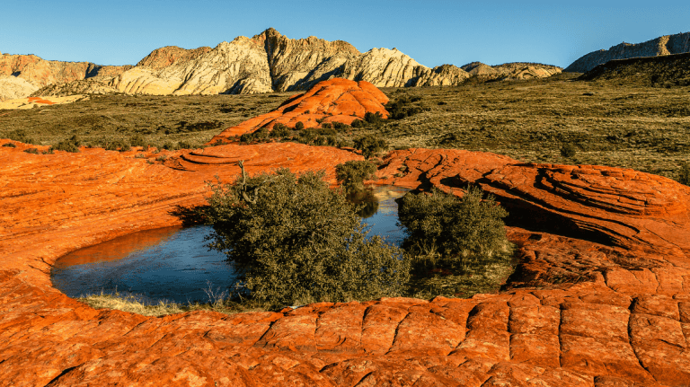 Snow Canyon Half, 10K, 5K & Fun Run Walk 'N Roll - Half Marathon Guide ...
