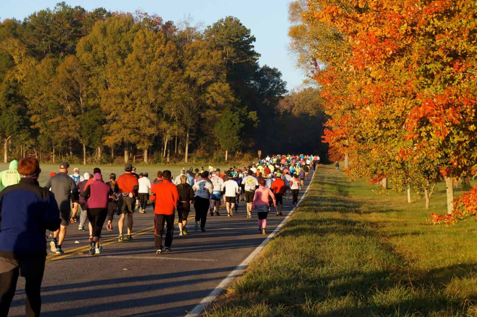 The 50 Best Walking Half Marathons in the US