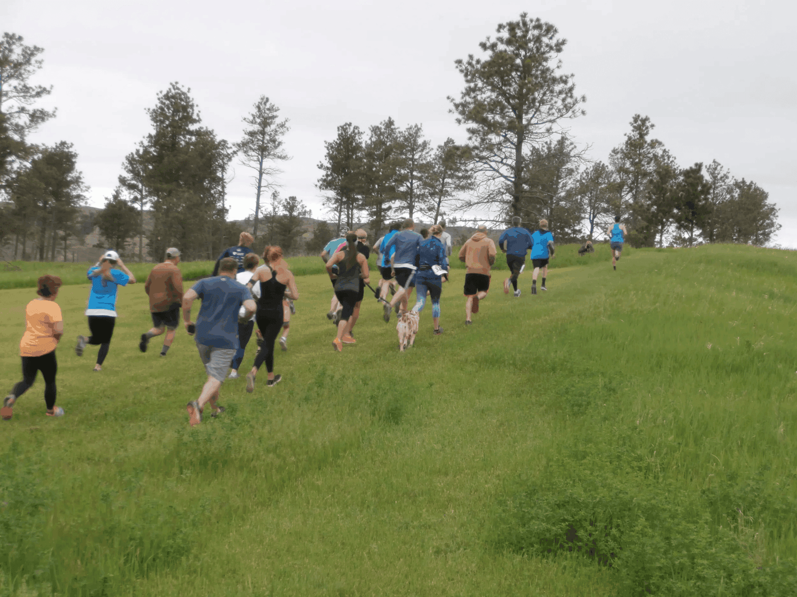 Run for the Hills - Half Marathon Guide